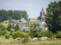 Projecten – AV-Development