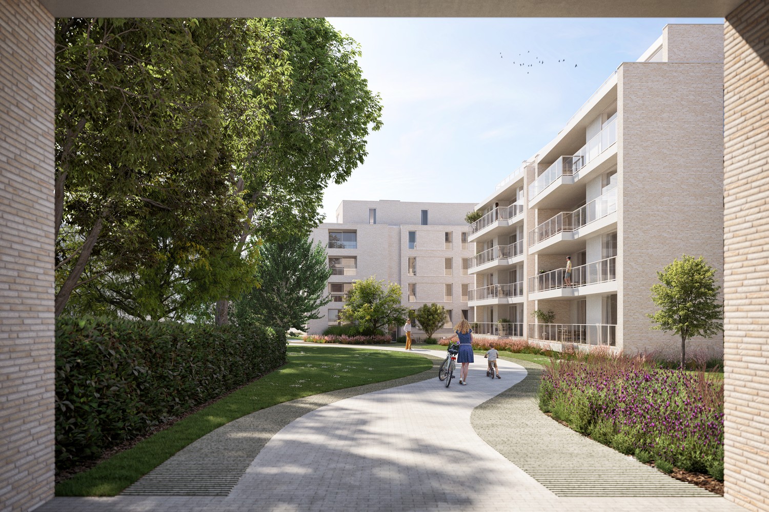 Ley – AV-Development